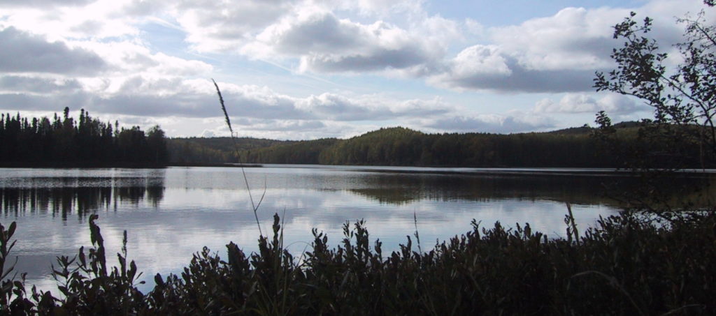 The Jackson Pemberton Blog > Get past the words, look deep into ...