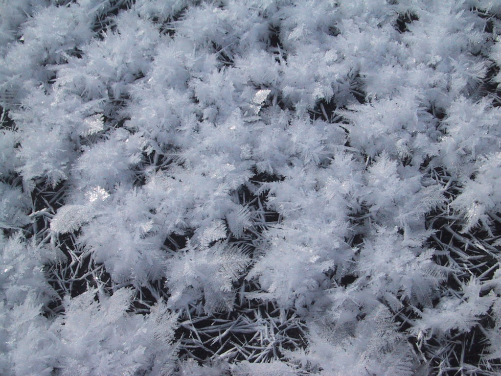 Rights: Threads of the Human Fabric > The Jackson Pemberton Blog