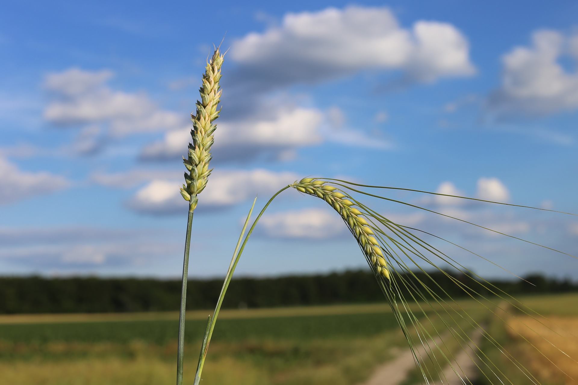 An Irrefutable Definition of Natural Rights? > The Jackson Pemberton Blog